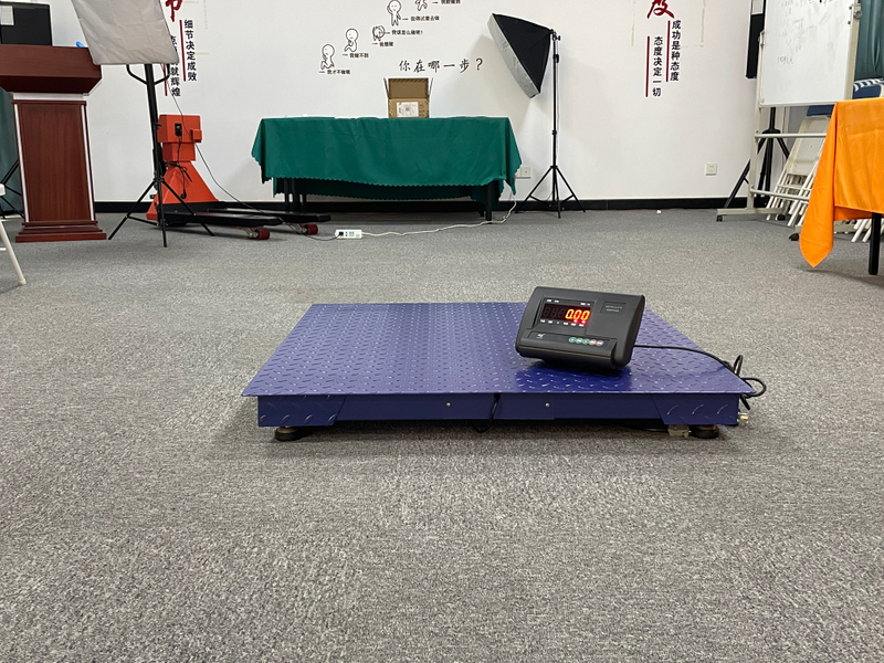 Hardy Stainless Steel Industrial Lift Deck Floor Scale from China ...